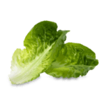 Ensaladas Listas para el Consumo – Dole Chile